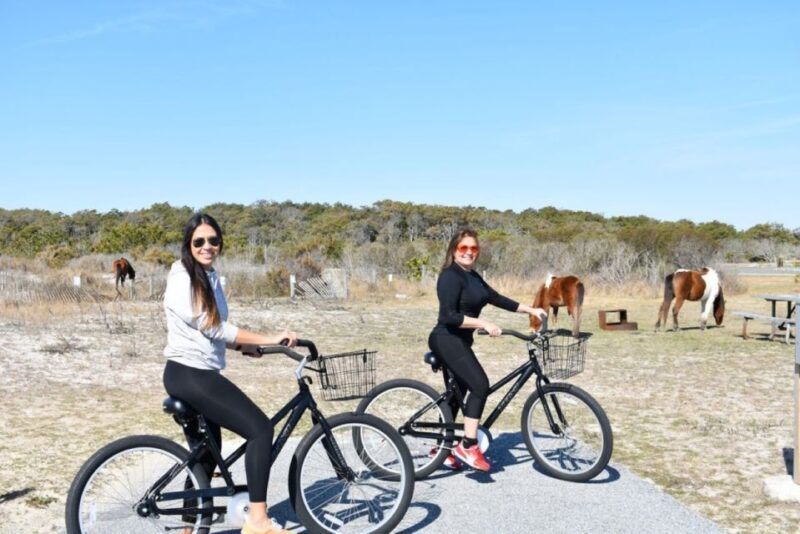 Assateague Island: Bike Rental from the Bayside Stand - The Itinerary and Route Choices