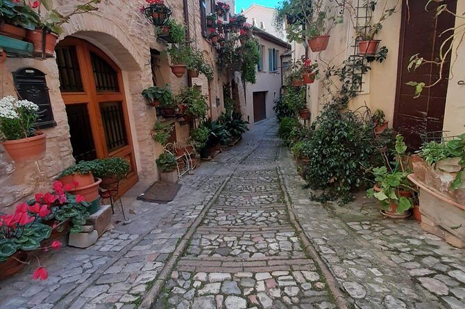 Assisi and Spello Full Day Private Walking Tour - Practical Details & Experience Overview