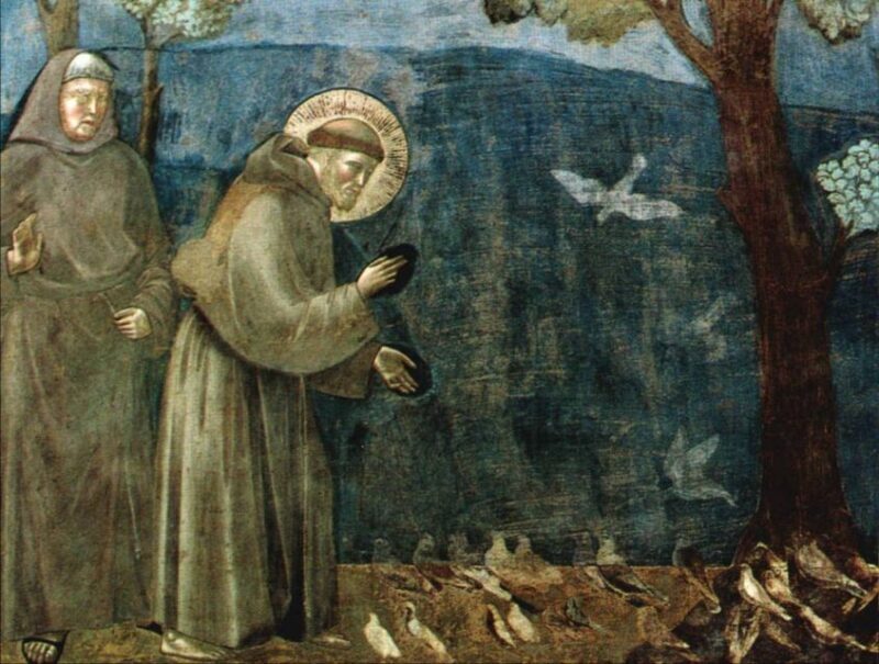 Assisi: Basilica of Saint Francis Tour - Introduction: Why This Tour Matters