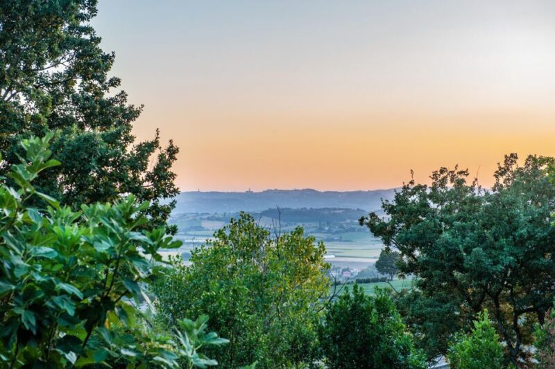 Assisi by driver and guide. Panoramic and Historical tour - Key Points