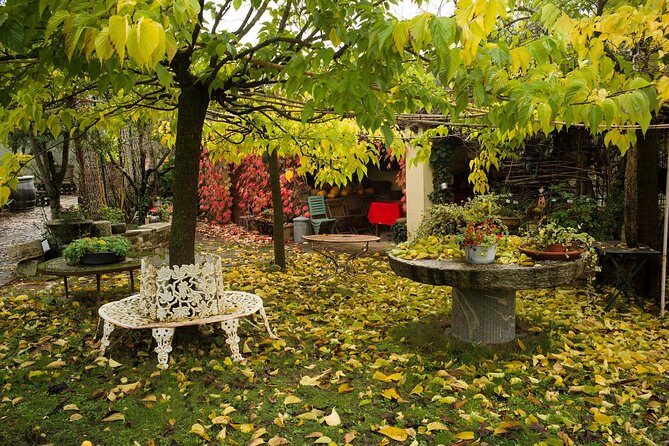 Assisi, Deruta & organic gourmet lunch at the olive oil farmhouse from SIENA - Deruta: Ceramics and the Ancient Majolica Factory