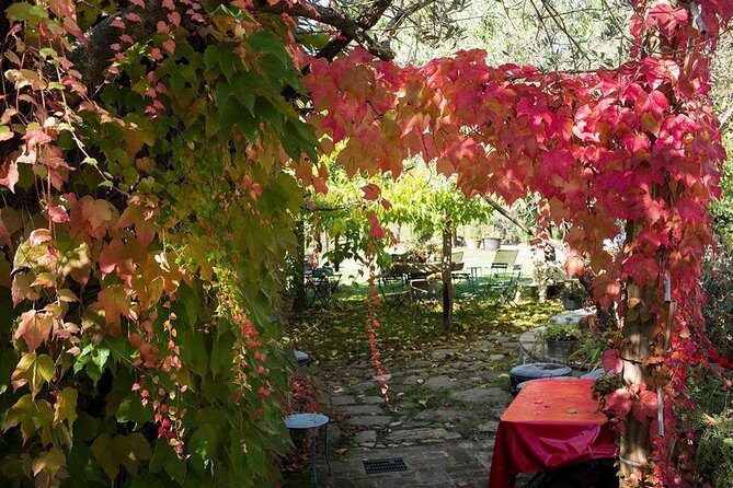 Assisi, Deruta & organic gourmet lunch at the olive oil farmhouse from SIENA - The Sum Up