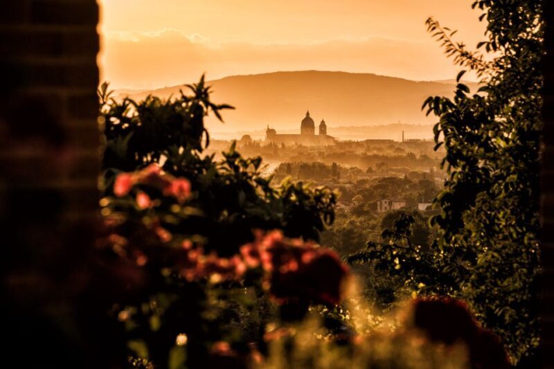 Assisi: Organic Balsamic Vinegar, Olive Oil & Wine Tour - Key Points