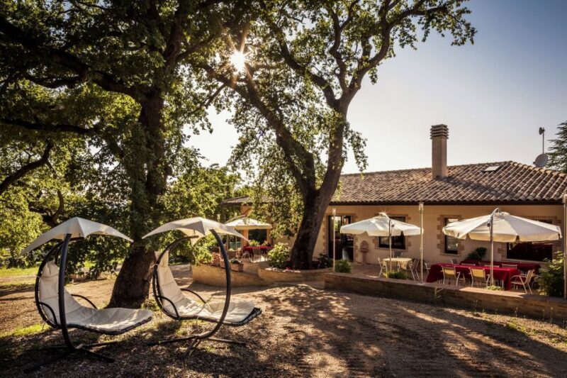 Assisi: Organic Wine and Cheese Tasting - The Tasting: A Flavorful Journey through Umbria