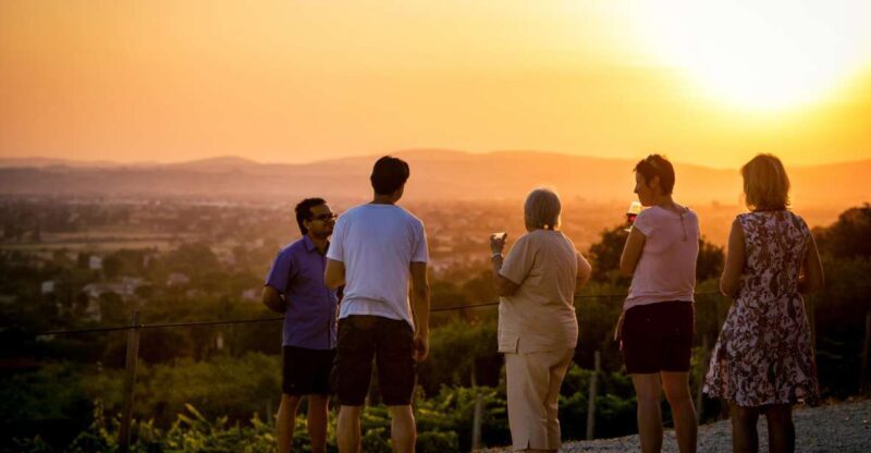 Assisi: Organic Winery Tour with Tastings & Typical Food - Key Points