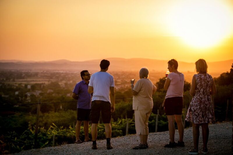 Assisi: Organic Winery Tour with Tastings & Typical Food - Final Thoughts