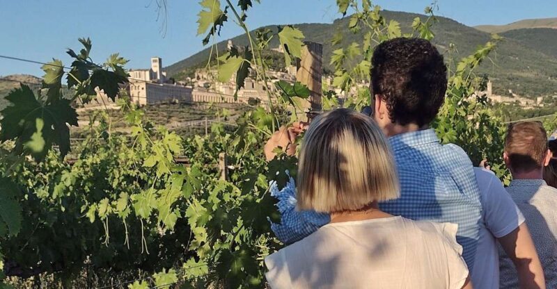 Assisi: Wine tasting, gourmet pairing, walk in the vineyards - Exploring the Experience
