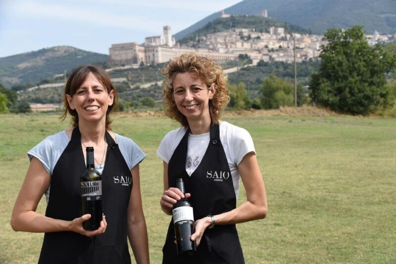 Assisi: Wine tasting, gourmet pairing, walk in the vineyards - How This Tour Fits Into Your Trip
