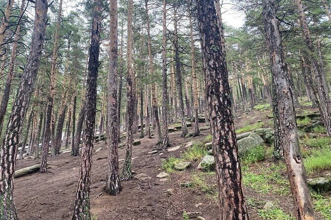 Astana: Burabay Oasis National Park: Private All Inclusive Tour - Who Will Appreciate This Tour?