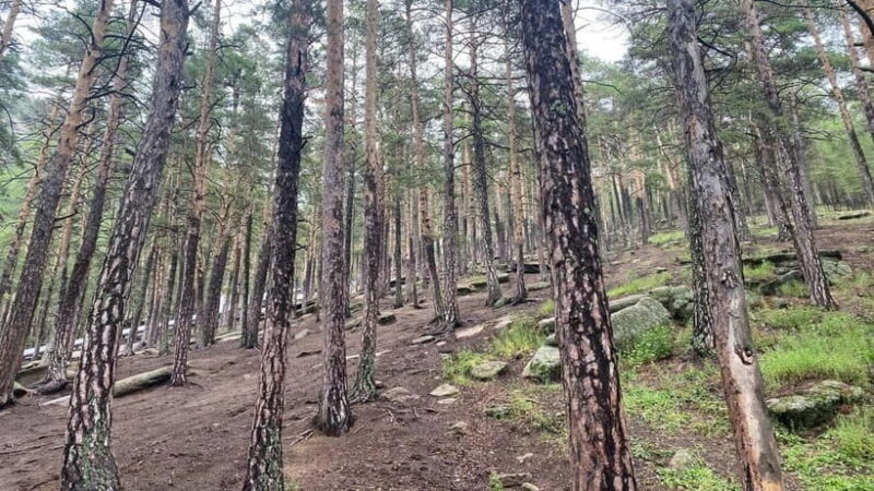 Astana: Private City Tour and Burabay National Park bundle - Practical Details and Logistics