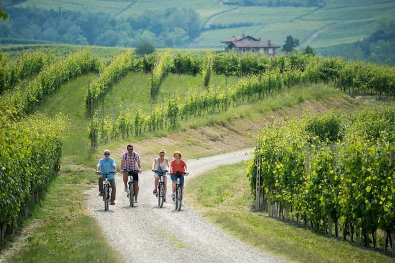 Asti Island: E-Bike & Wine Tasting Experience - Discover the Charm of Asti Island: E-Bike & Wine Tasting Experience