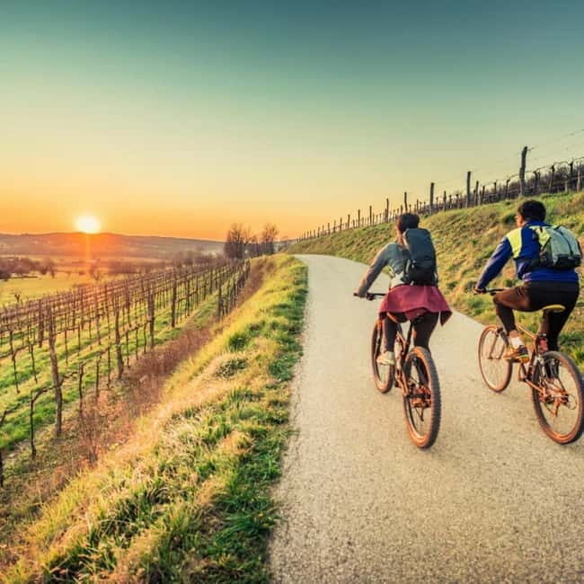 Asti Island: E-Bike & Wine Tasting Experience - An In-Depth Look at the Asti Island E-Bike & Wine Tasting Tour