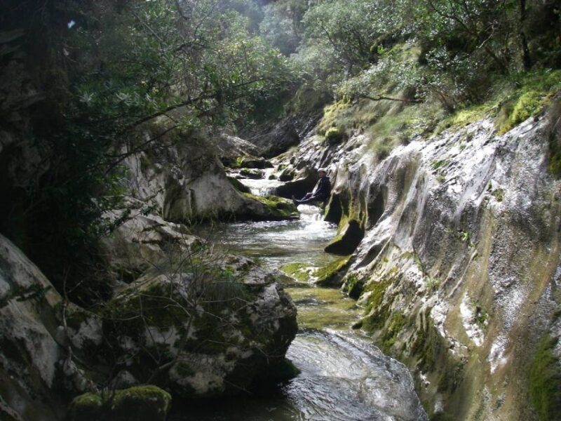 Asturias: Canyoning Adventure with 4 Levels to Choose From - Why Choose This Canyoning Tour in Asturias?