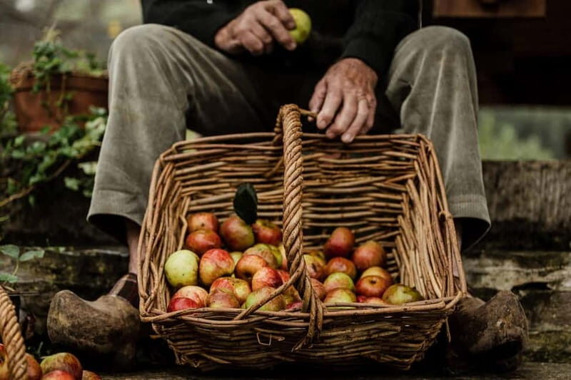 Asturias: Cider, Local lunch, Villaviciosa, Tazones, Laboral - Key Points
