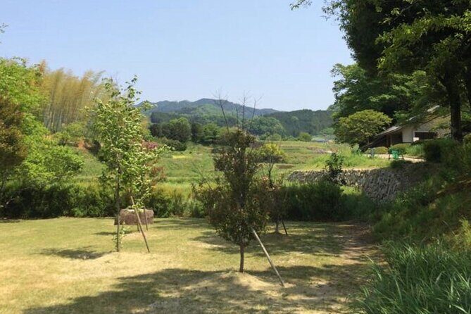 Asuka Private Full-Day Guided Tour from Kashihara - What Travelers Say: Authentic Insights from Past Visitors
