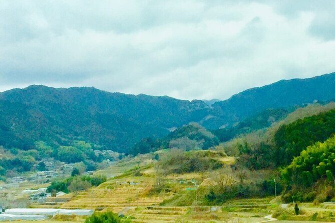 Asuka Private Full-Day Guided Tour from Kashihara - Final Thoughts: Is This the Tour for You?