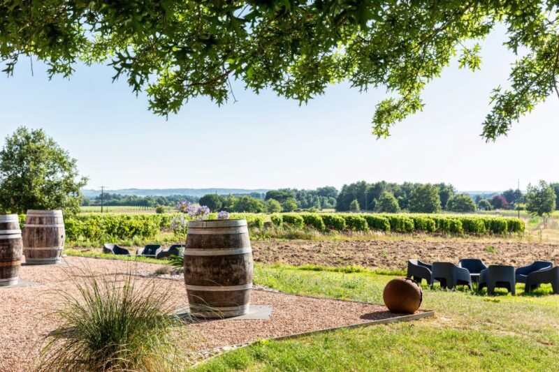 At the gates of Toulouse: from the vine to the cellar - Authenticity and Value