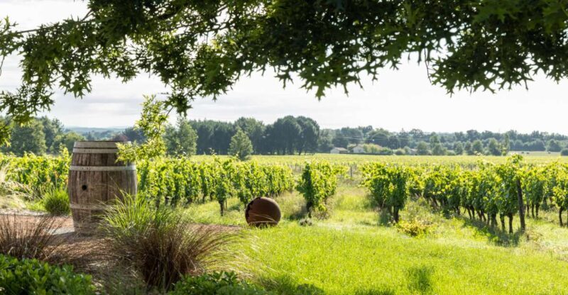 At the gates of Toulouse: Gourmet Tour - Starting Point and Self-Guided Walk