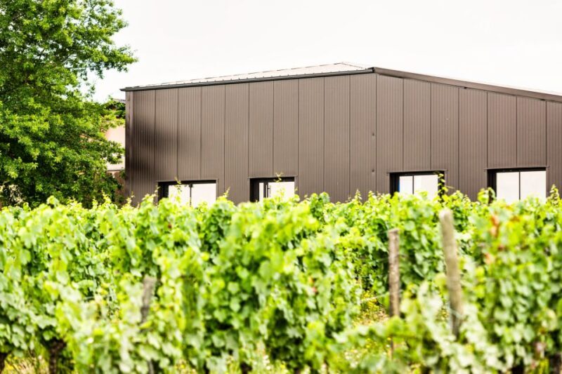At the gates of Toulouse: Gourmet Tour - Wine Tasting and Educational Stops