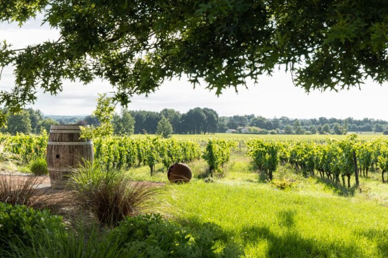 At the gates of Toulouse: Gourmet Tour - Practical Details