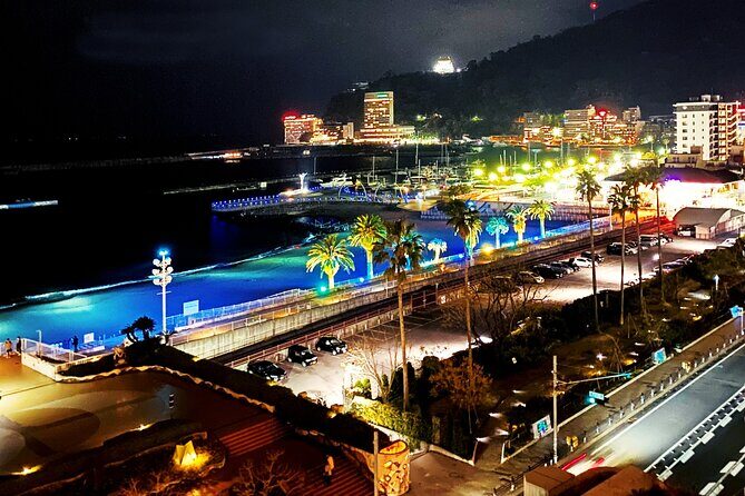 Atami Full-Day Private Tour with Government-Licensed Guide - FAQs About the Atami Full-Day Private Tour