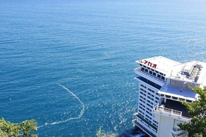 Atami Half-Day Private Tour with Government-Licensed Guide - Key Points