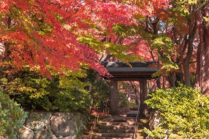 Atami: MOA Museum of Art Admission Package - In-Depth Look: Why It’s a Great Value