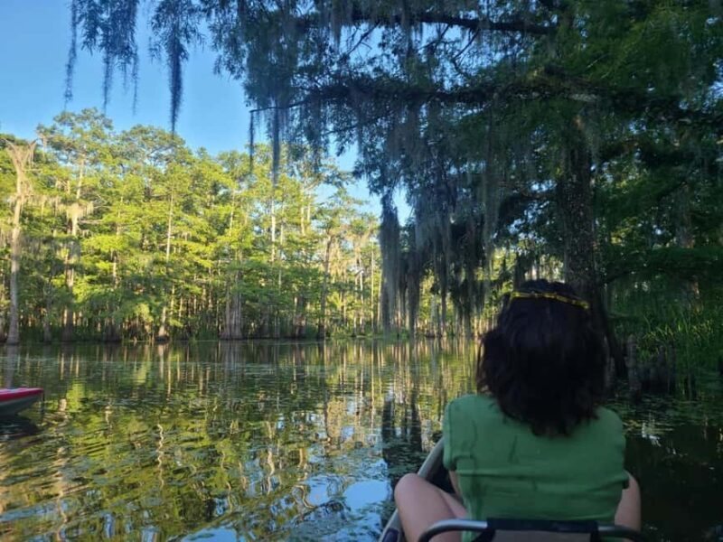 Atchafalaya Basin: 2.5 Hr. Guided Kayak Tour - Practicalities and Considerations