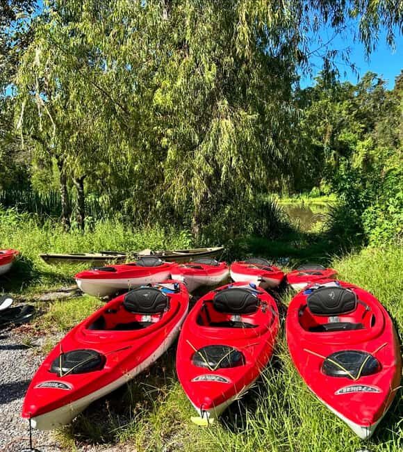 Atchafalaya Basin: 2.5 Hr. Guided Kayak Tour - Authenticity and What Travelers Say