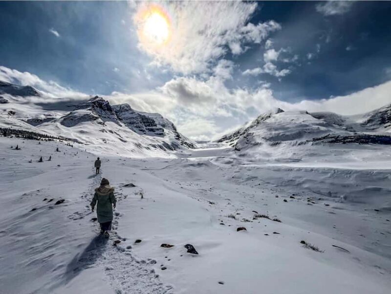 Athabasca Falls/Abraham,Sunwapta Falls, Icefield, Peyto Lake - The Itinerary: A Journey Through the Rockies