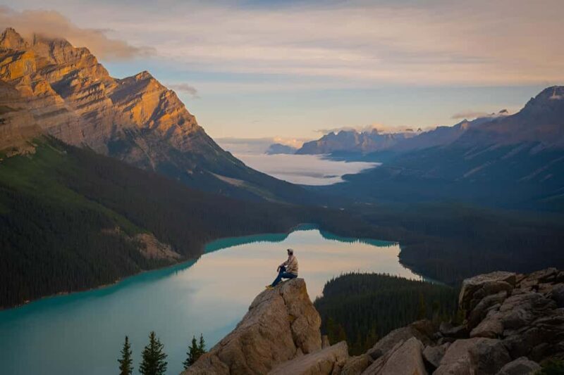Athabasca Falls/Abraham,Sunwapta Falls, Icefield, Peyto Lake - What the Reviews Say