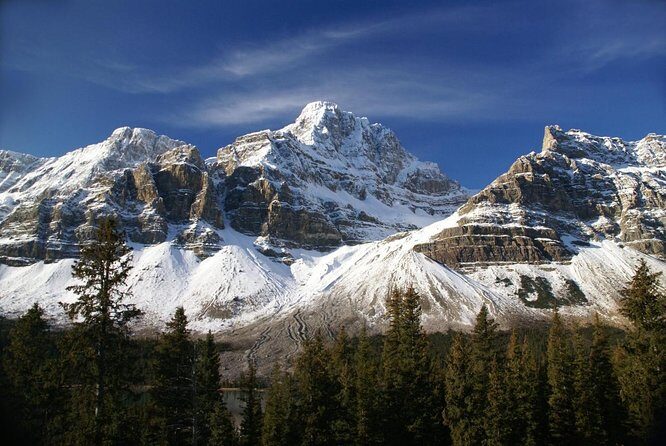 Athabasca Glacier Snow Trip from Banff - The Experience: What to Expect on This Full-Day Tour