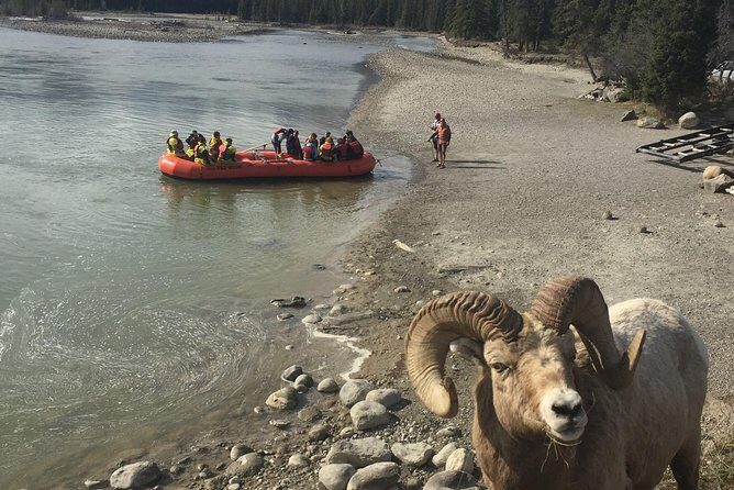 Athabasca River Easy Scenic Raft Trip - The Practicalities: Whats Included and Whats Not