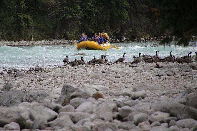 Athabasca River Mile 5 - What We Love and Consider