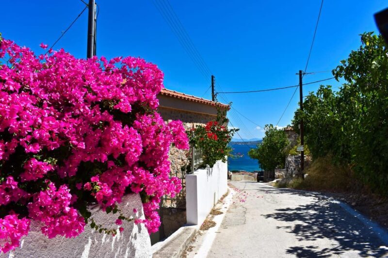 Athens: Agistri, Metopi & Aegina Cruise with Meals & Drinks - A Close Look at the Experience