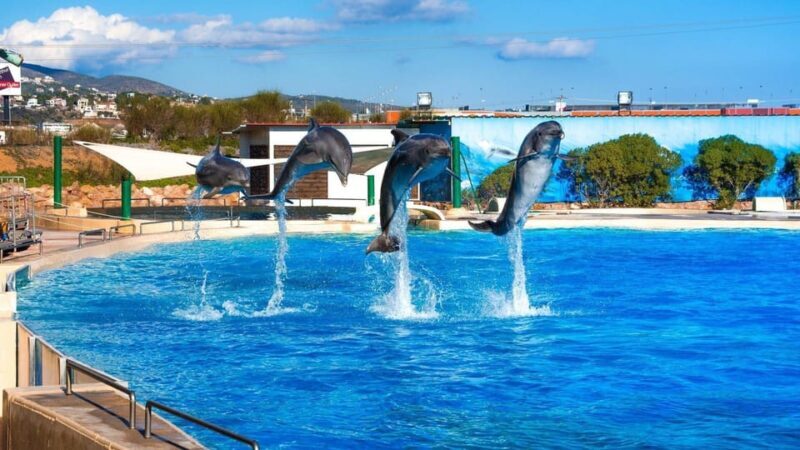 Athens: Attica Zoological Park & Athens National Garden Trip - FAQ