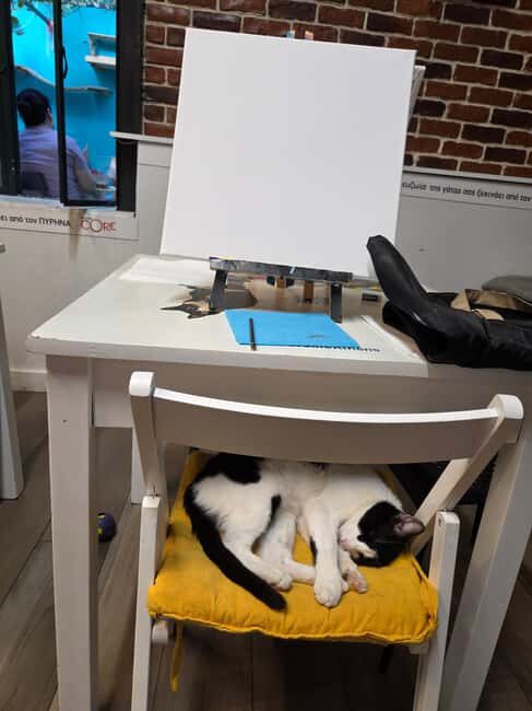Athens: Cat Café Paint & Sip Experience - Key Points