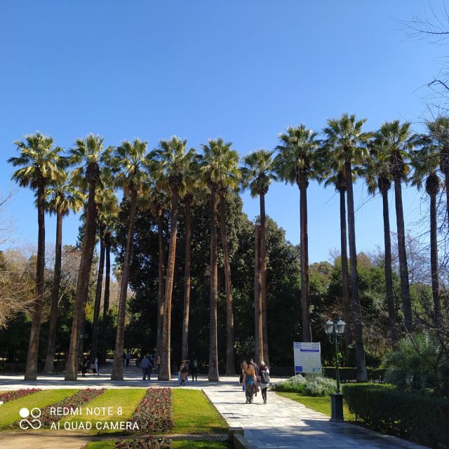 Athens city center walking tour - What to Expect and What to Bring