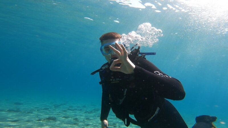 Athens East Coast: Discover Scuba Diving in Nea Makri - Key Points