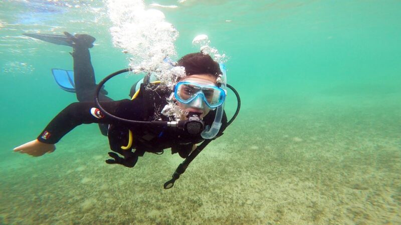 Athens East Coast: Open Water Diver Course in Nea Makri - Discovering the Course Details