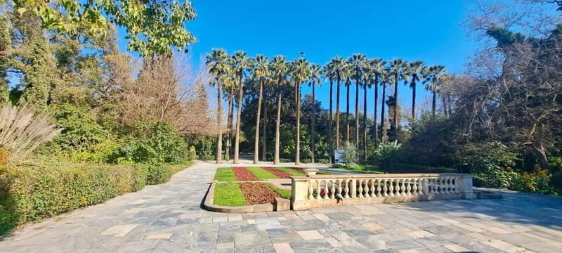 Athens Fun Day with a Local (Walking tour) - Key Points