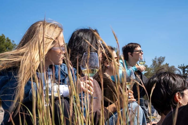 Athens: Greek Wine Tasting and Picnic on Philopappou Hill - Unlocking the Charm of Athens’ Wine and Views