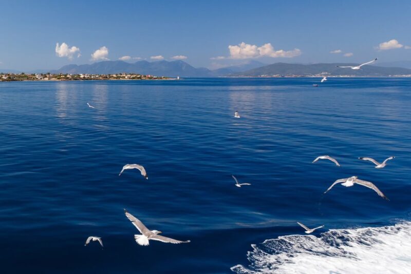 Athens: Guided Day Trip to Aegina Island with Swimming - End of the Day: Return Ferry and Reflection