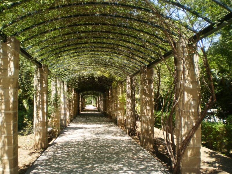 Athens: National Garden 2-Hour Segway Tour - Introducing the Athens Segway Experience