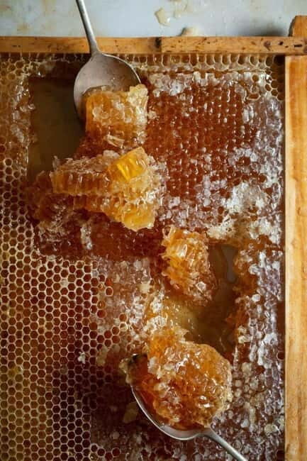Athens: Premium Greek Honey Tasting - Key Points