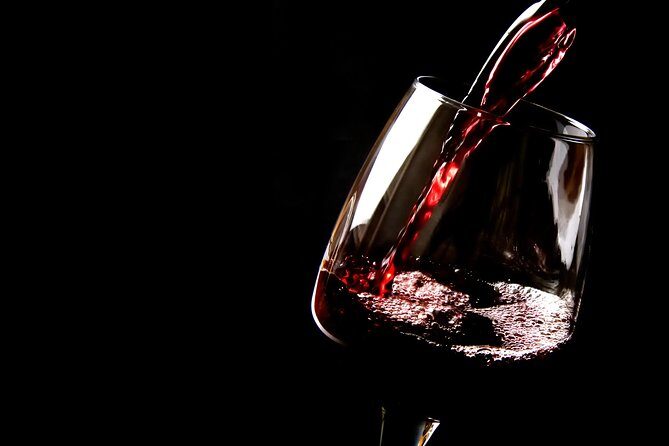 Athens Private Wine Tasting Tour - Dionysian Grapes - Who Will Love This Tour?
