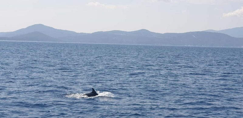 Athens Riviera Private Catamaran Cruise with Meal and Drinks - The Details That Make a Difference