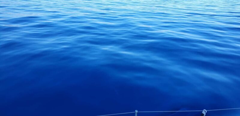 Athens Riviera Private Catamaran Cruise with Meal and Drinks - FAQ