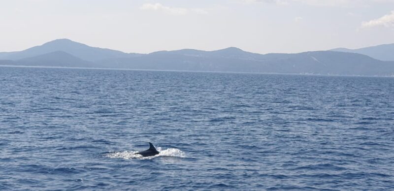 Athens Riviera Private Catamaran Cruise with Meal and Drinks - Detailed Breakdown of the Itinerary
