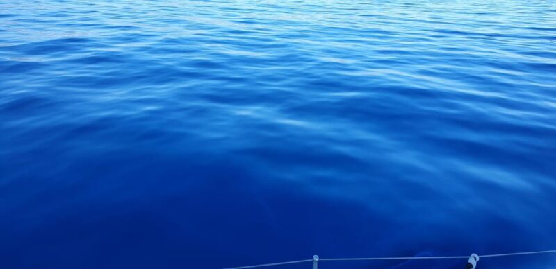Athens Riviera Private Catamaran Cruise with Meal and Drinks - Authentic Experience & Customer Feedback